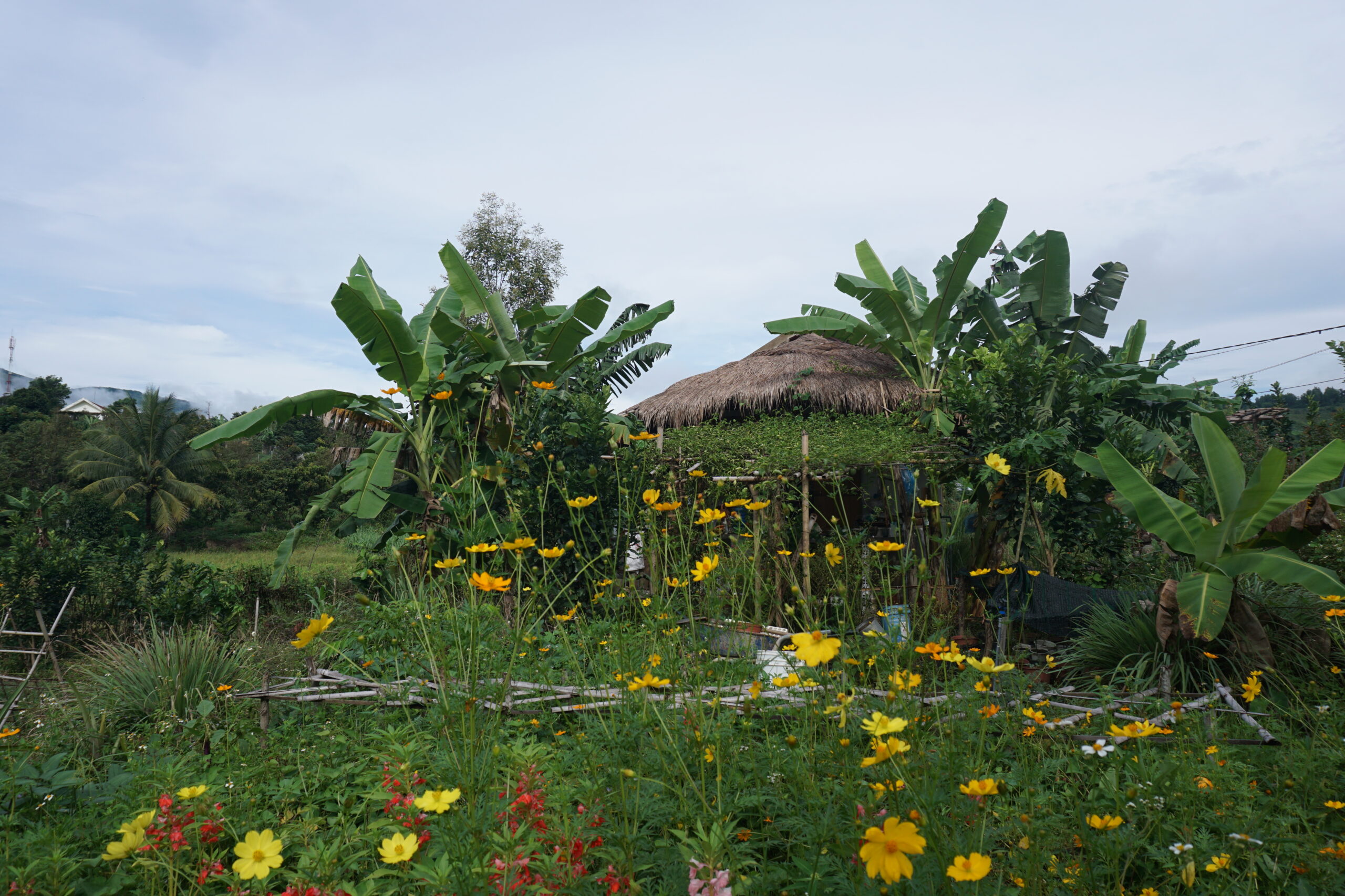 ABOUT YENDU - Yendu Farm